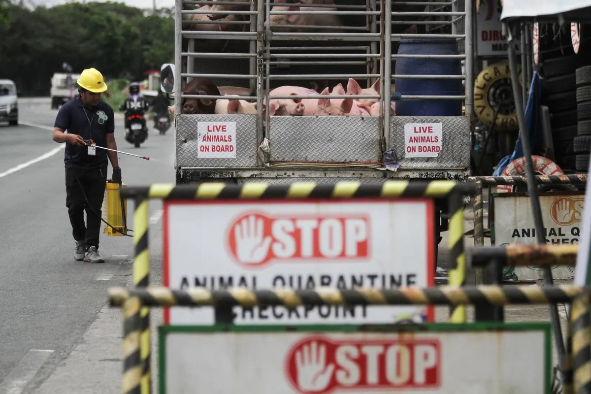 PHOTO: Disinfecting against ASF | ABS-CBN News