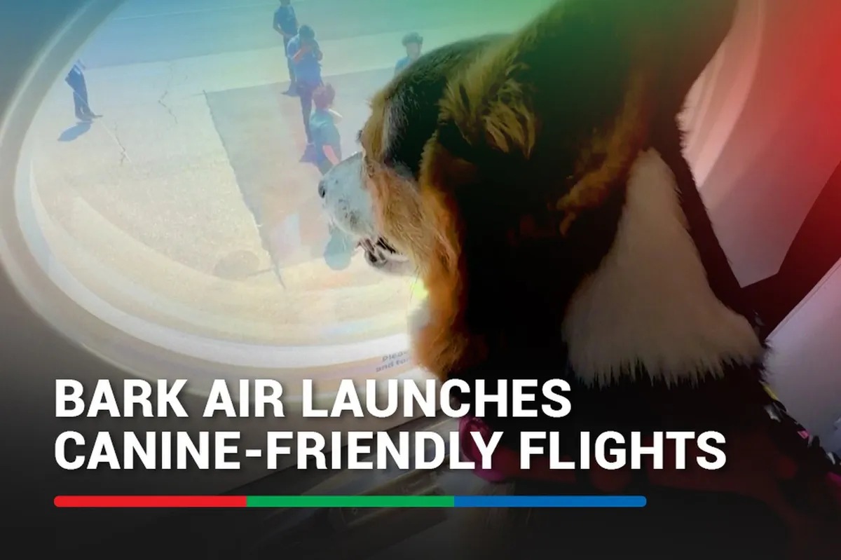 BARK Air launches canine-friendly flights | ABS-CBN Lifestyle