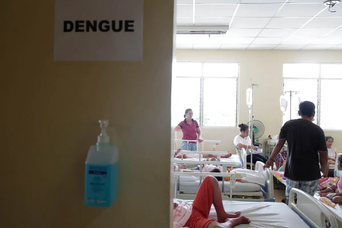Iloilo province logs over 4,500 dengue cases | ABS-CBN News