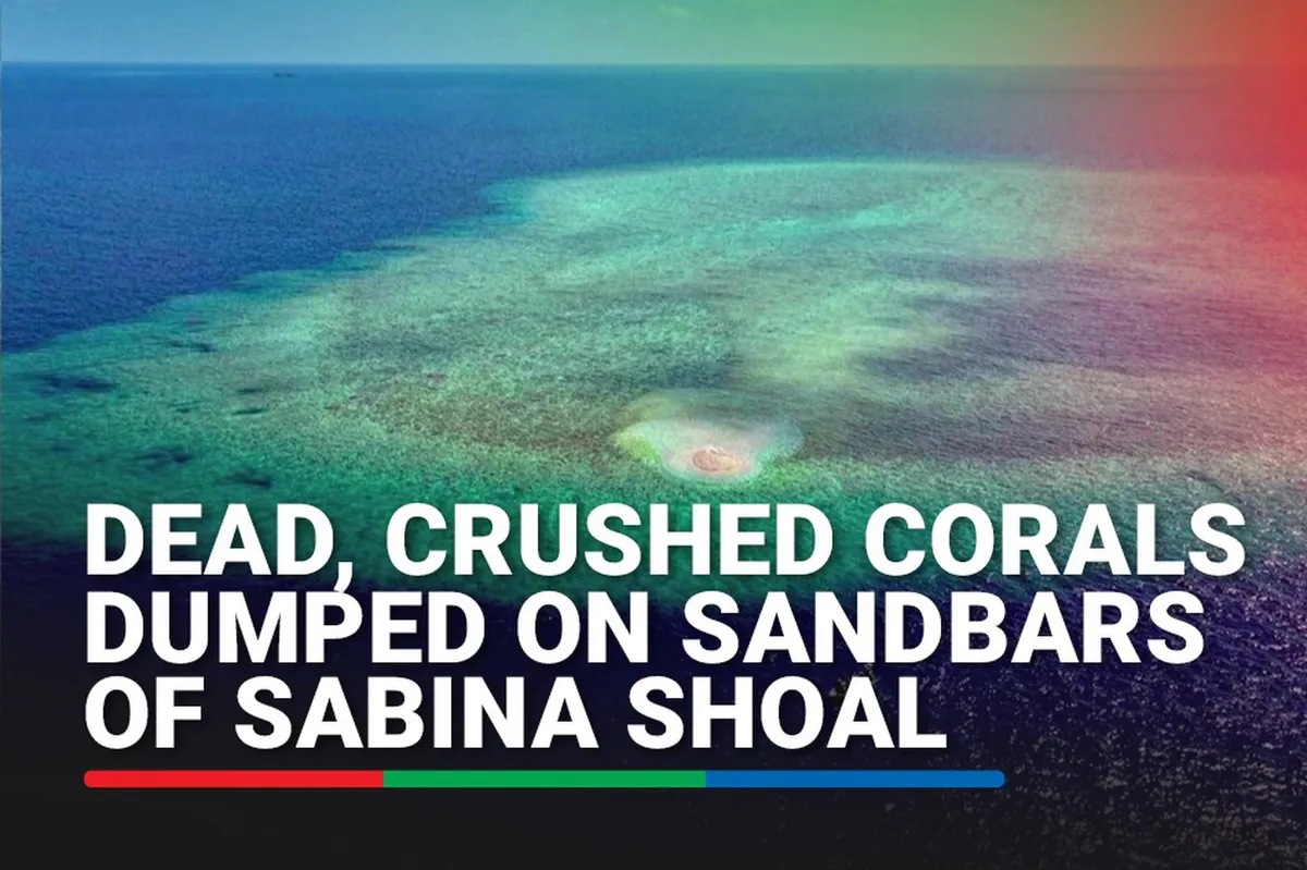 Dead, crushed corals dumped on sandbars of Sabina Shoal | ABS-CBN News