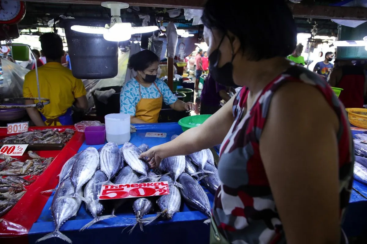 Rep. Tulfo grills DA over failed fish importation bidding | ABS-CBN News