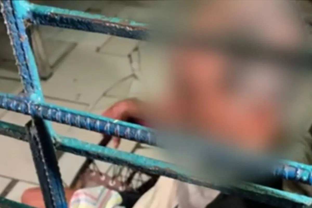 79 anyos na lalaki timbog sa panghahalay umano sa bata | ABS-CBN News