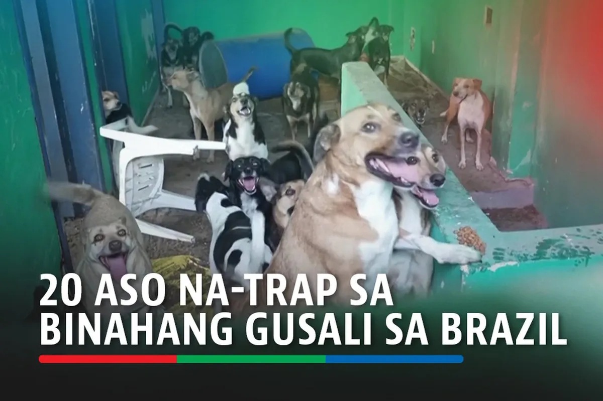20 aso na-trap sa binahang gusali sa Brazil | ABS-CBN News
