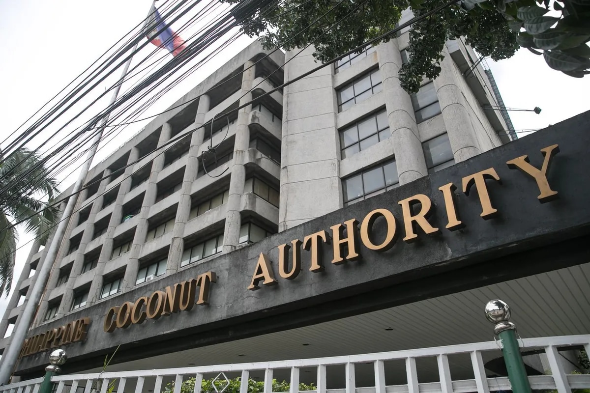 Philippine Coconut Authority to mount national coconut planting program ...