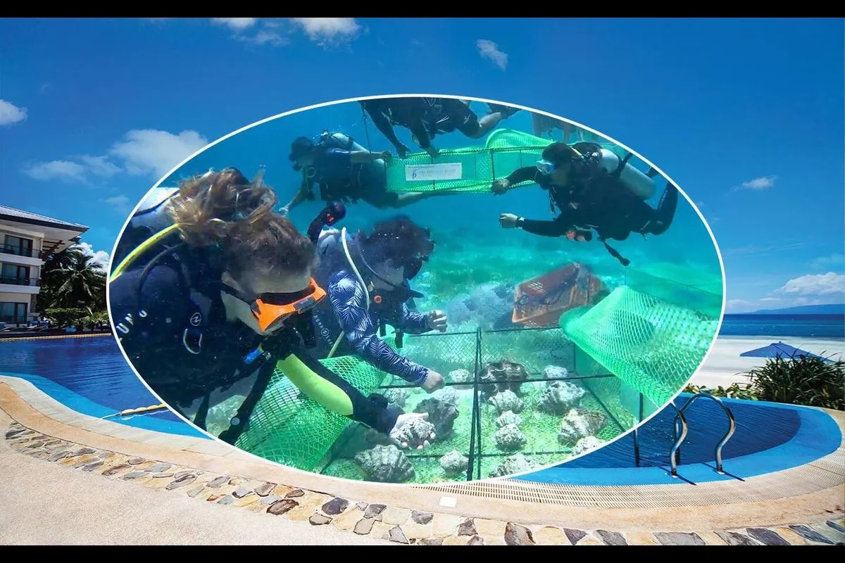 This 5-Star Bohol Resort Is Raising Giant Clams for Sustainable Eco ...