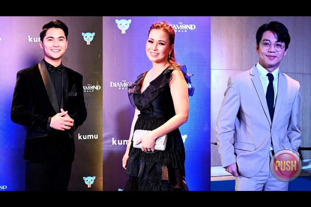 Ex-PBB housemates, celebrities grateful for opportunities opened by ...