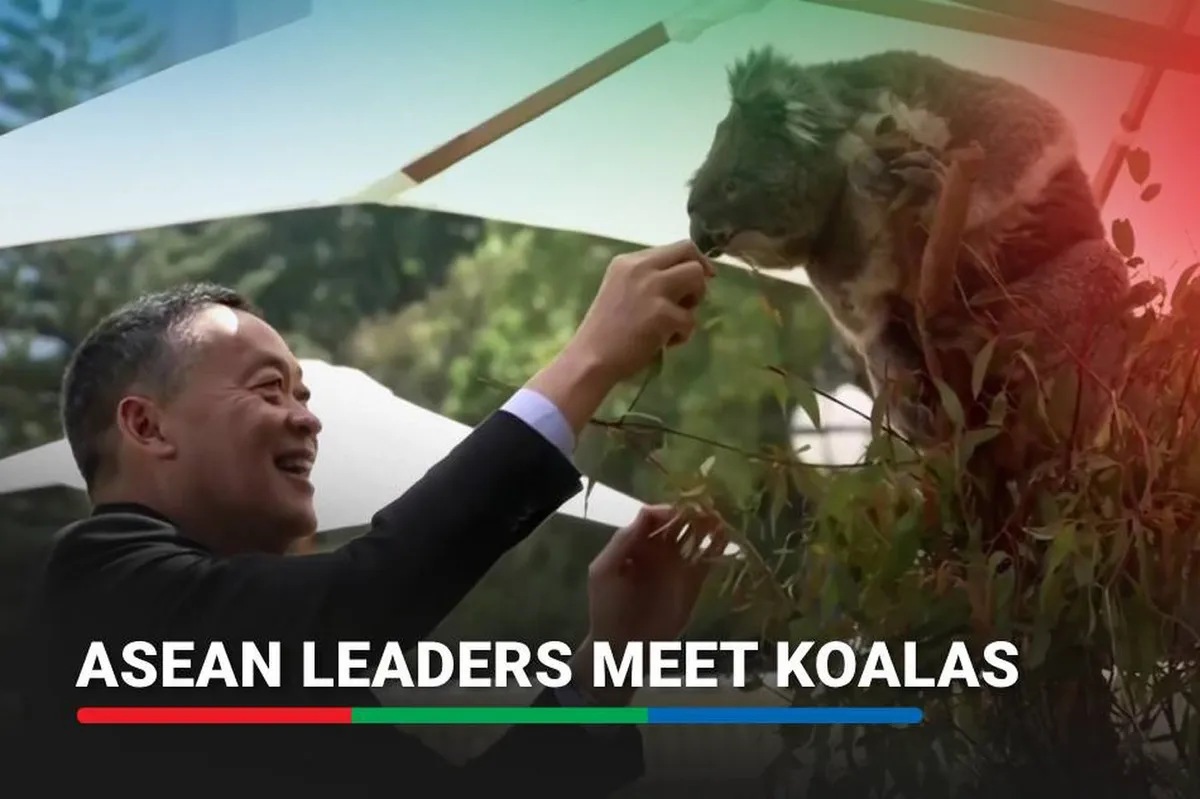 Marcos, ASEAN leaders get up close with koalas at retreat in Melbourne | ABS-CBN News