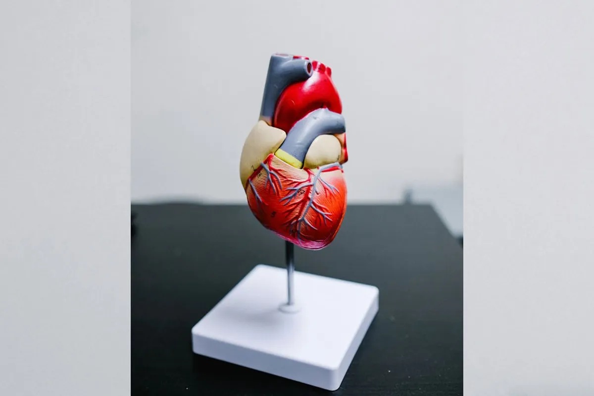 Myocardial infarction in women: what are the risks | ABS-CBN News