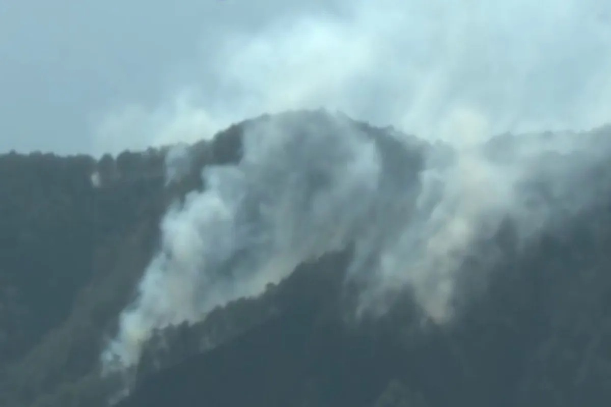 Forest fires sa Benguet, nagliliyab pa rin | ABS-CBN News Forest fires sa Benguet, nagliliyab pa rin | ABS-CBN News