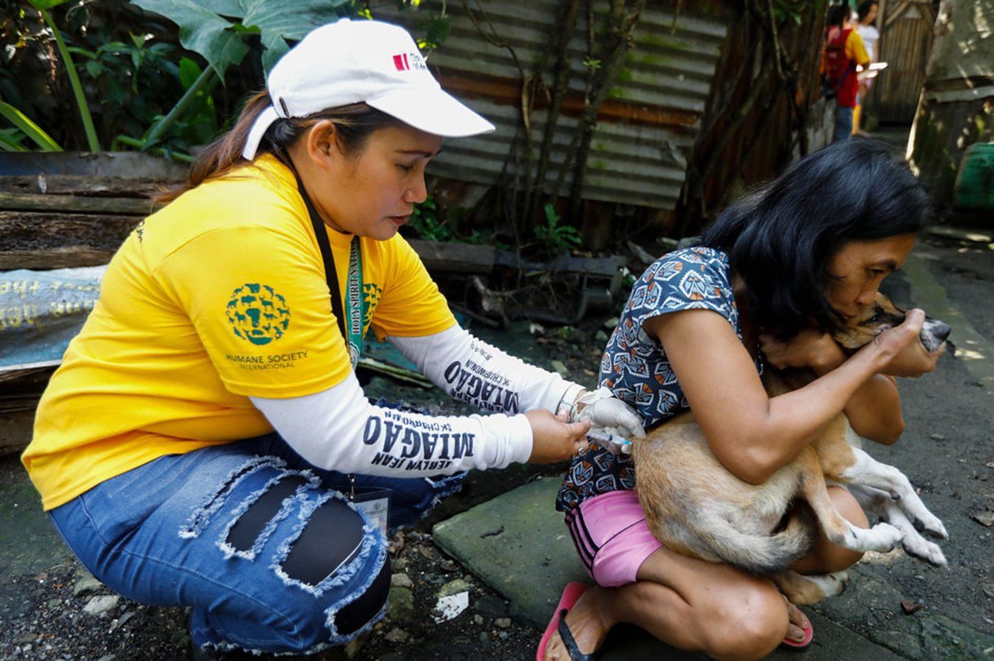 Rabies cases increase, dengue cases down - DOH | ABS-CBN News