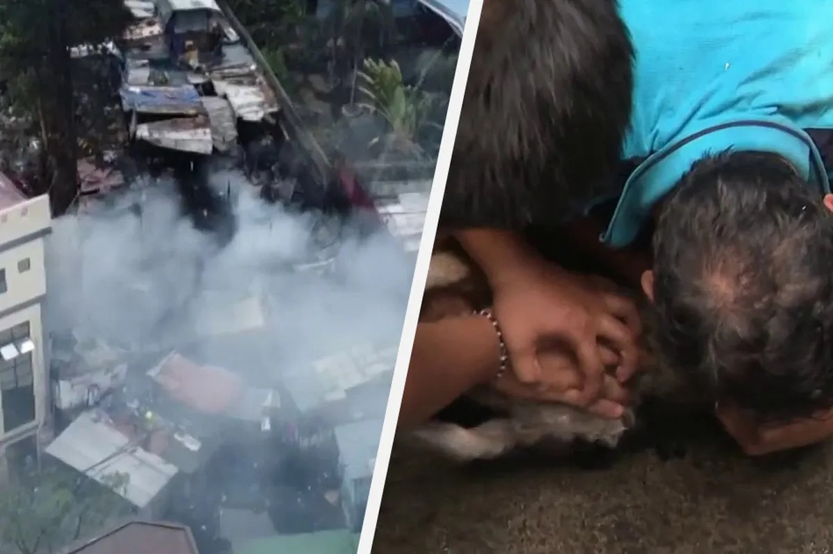 Mga alagang asong nasawi sa sunog sa Maynila, inalala | ABS-CBN News