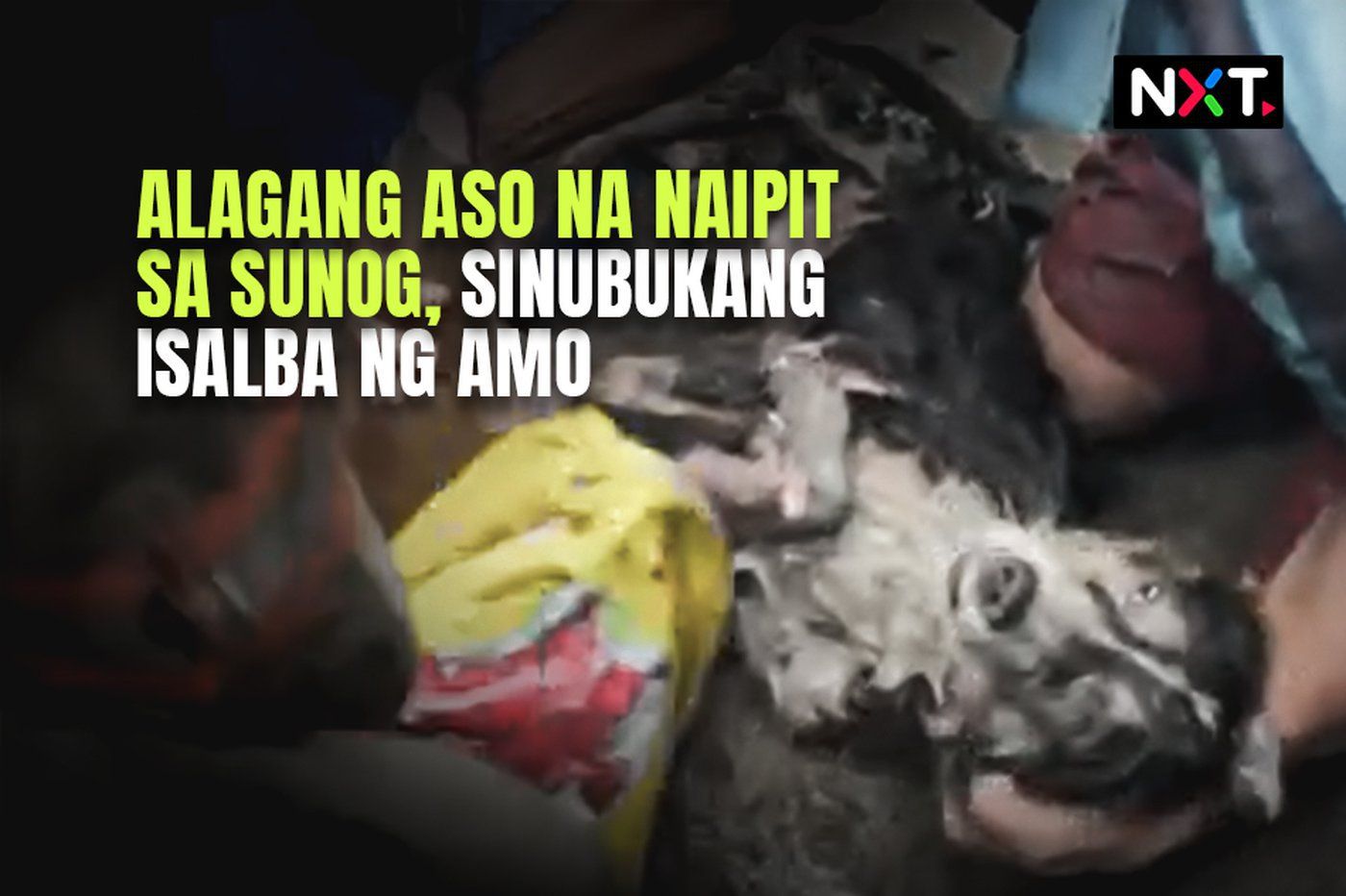 Alagang aso na naipit sa sunog, sinubukang isalba ng amo | ABS-CBN News