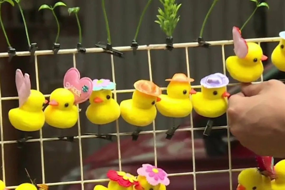 Bibe hair clip kinagigiliwan ng mga Pinoy | ABS-CBN Lifestyle