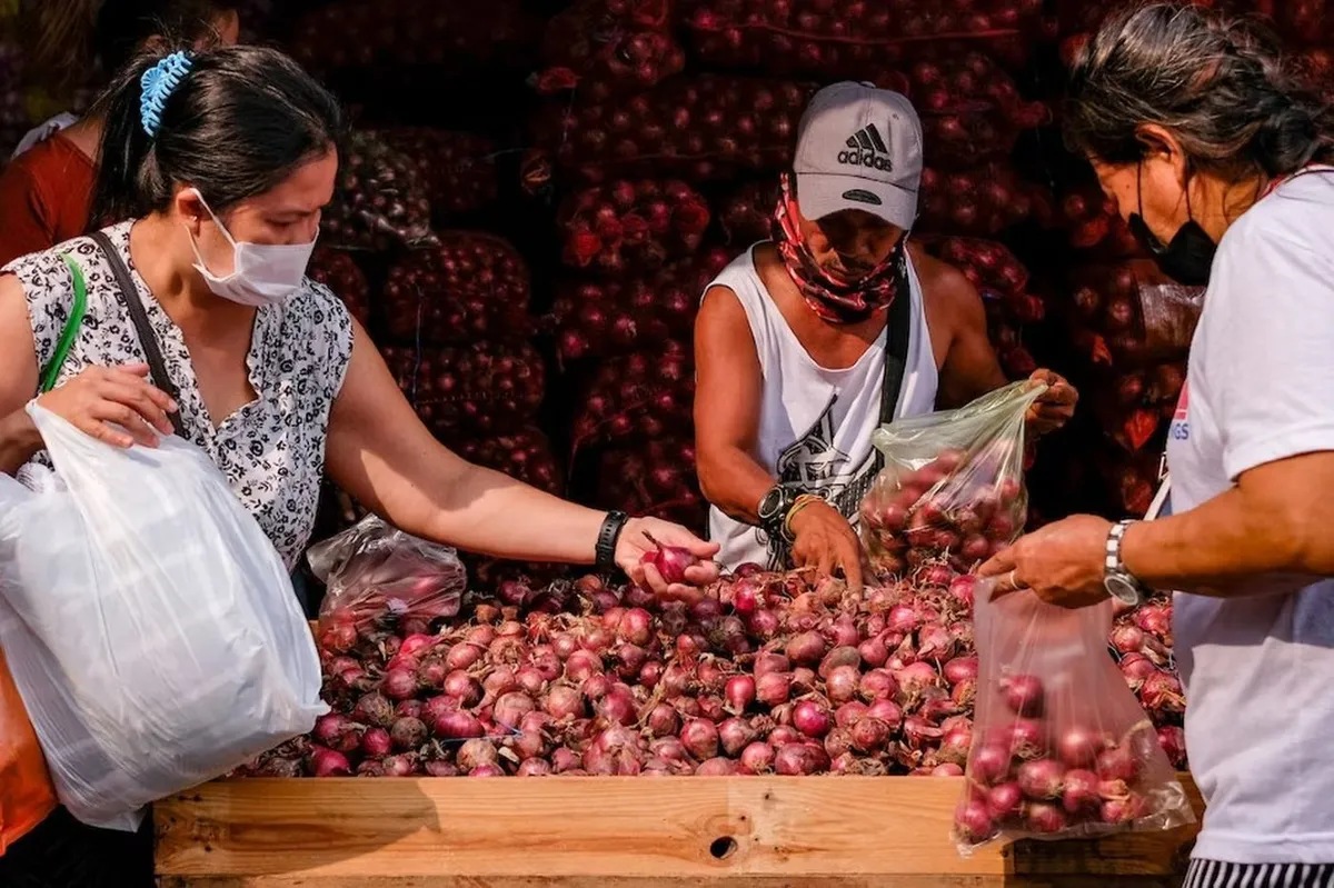Bureau of Plant Industry probes alleged onion smuggling | ABS-CBN News