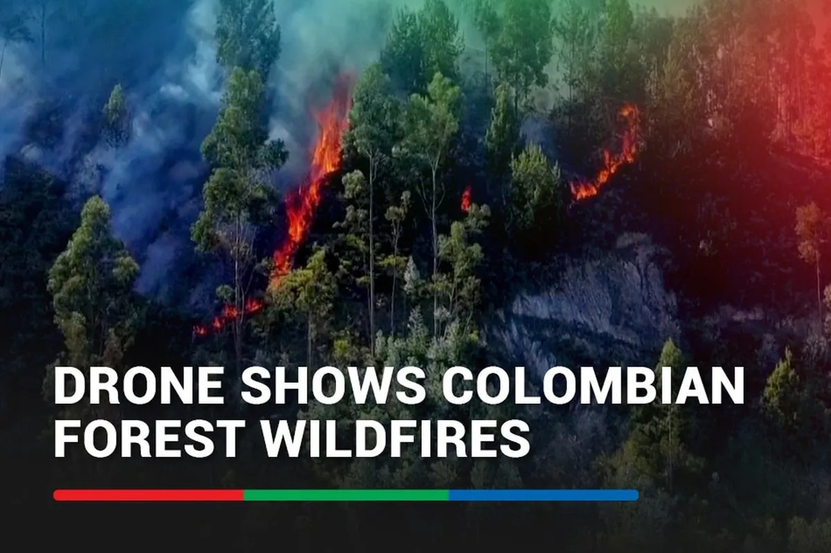 Drone shows wildfires rising from lush Colombian forest | ABS-CBN