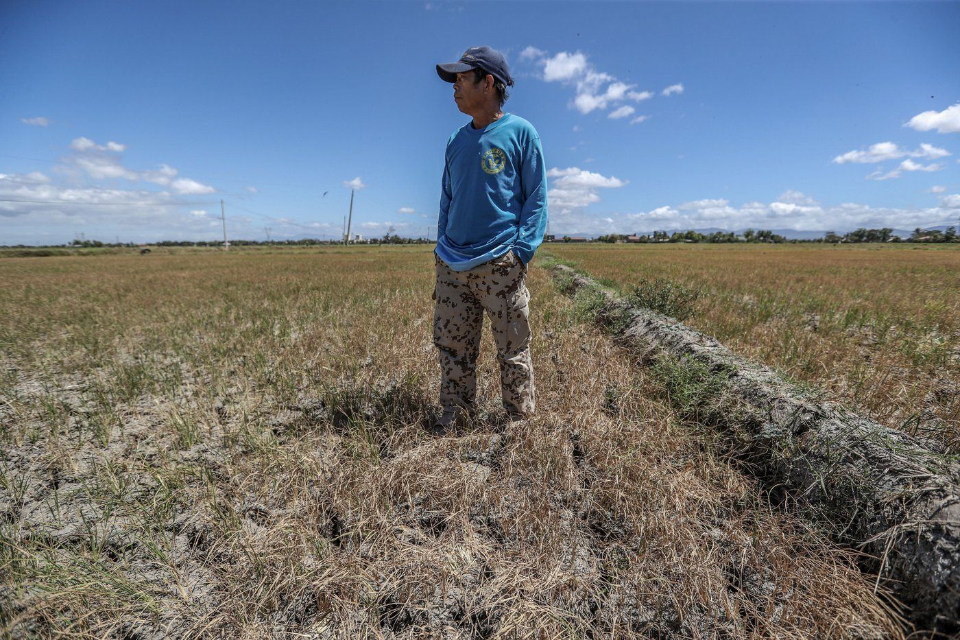 Over 990 rice farmers in Bulacan lose potential harvest due to El Niño ...