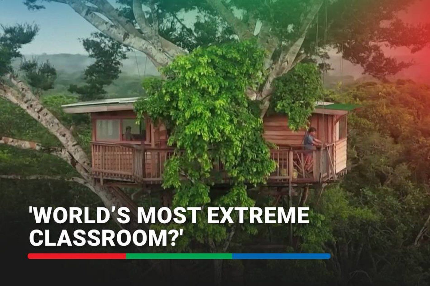 Is this rainforest treehouse the world’s most extreme classroom? | ABS ...