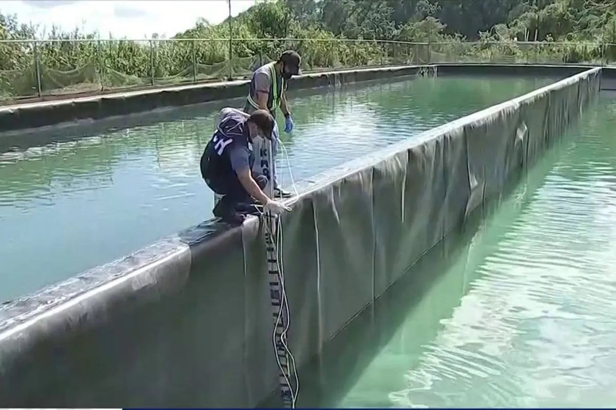 Mga kaso ng diarrhea sa Baguio bumababa na | ABS-CBN News Mga kaso ng diarrhea sa Baguio bumababa na | ABS-CBN News
