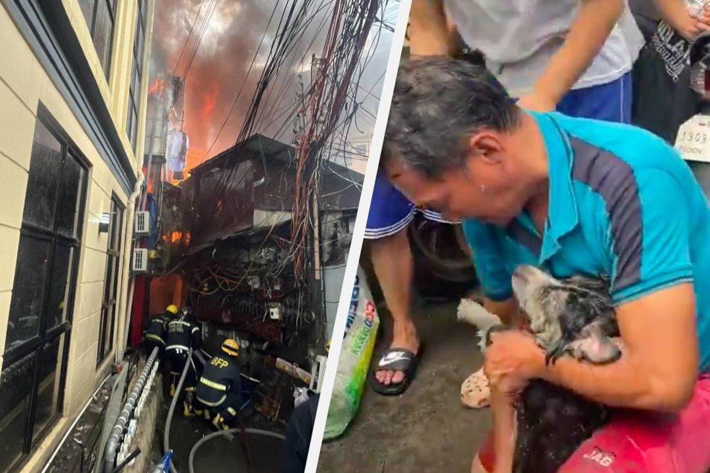 100 pamilya sa Maynila nasunugan; aso sinubukang isalba ng mga ... 100 pamilya sa Maynila nasunugan; aso sinubukang isalba ng mga ...