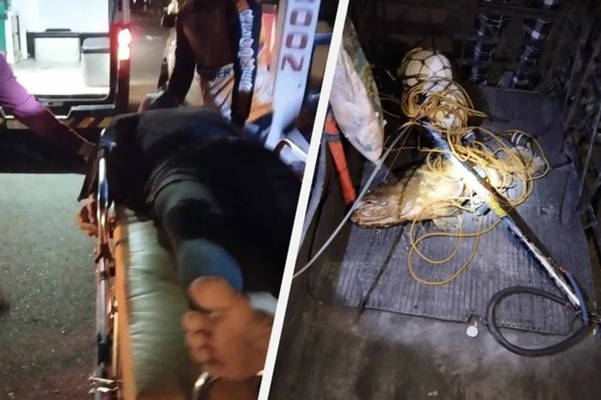 Mangingisda napatay dahil sa isda sa Cebu | ABS-CBN News