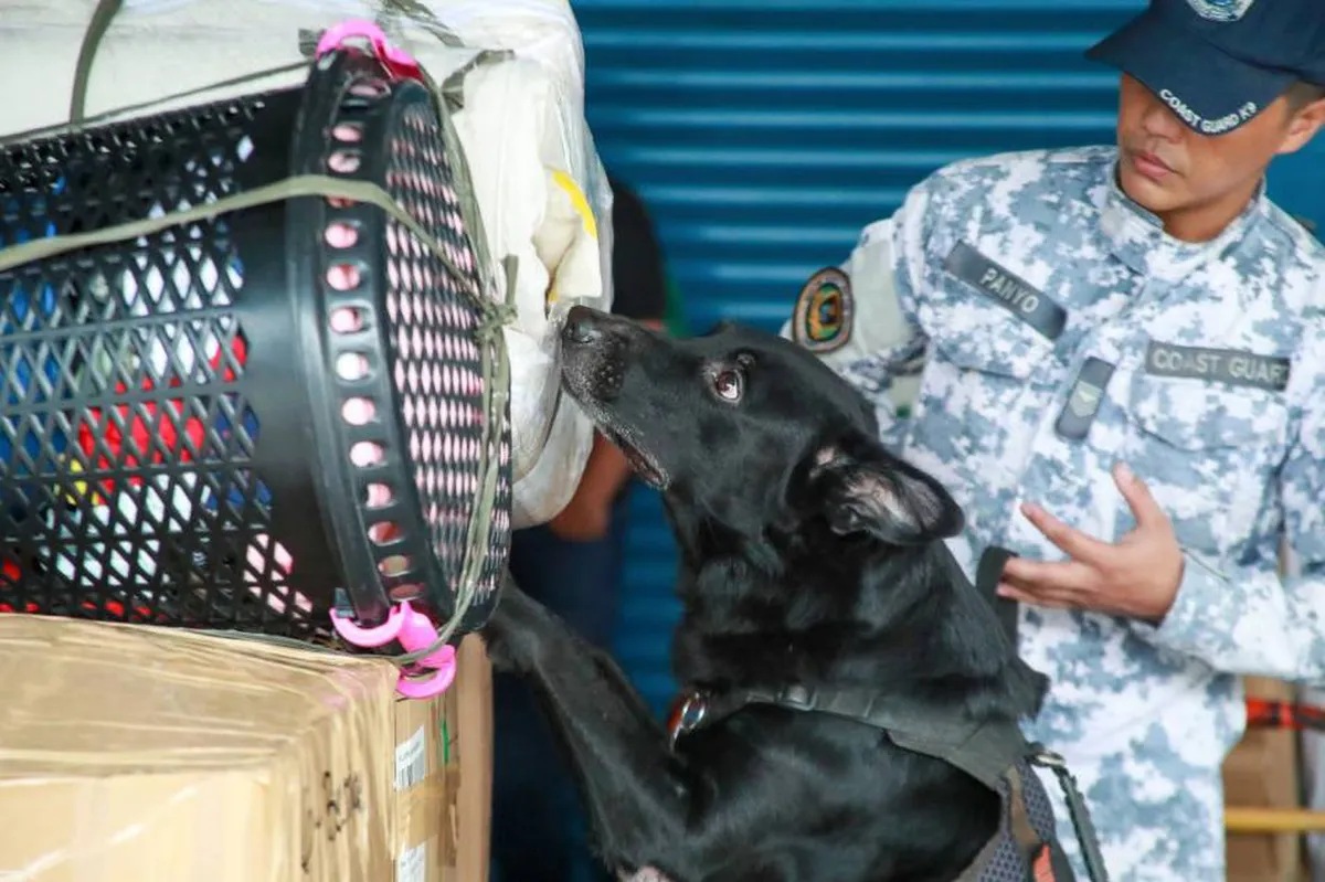 PH Ports Authority places all ports under red alert after MSU bombing ...