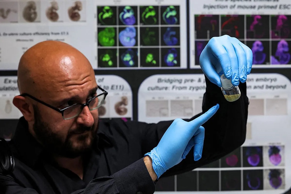 Lab-grown human 'embryos' offer new research hope | ABS-CBN