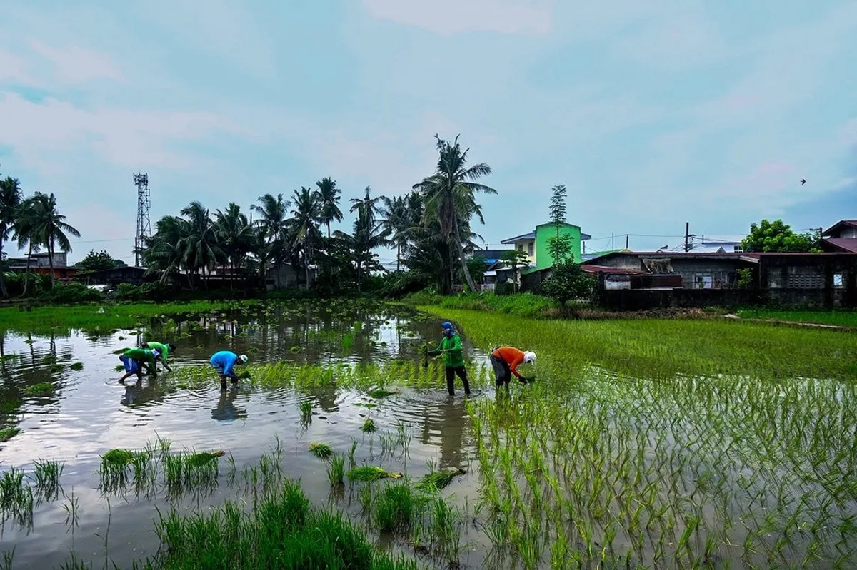 Marcos wants to complete distribution of agri land to beneficiaries by ...