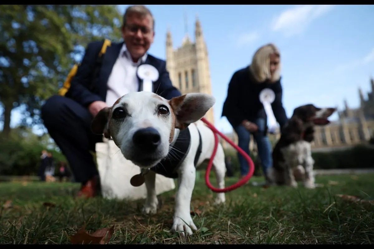 British Parliament holds Westminster Dog of the Year | ABS-CBN Lifestyle