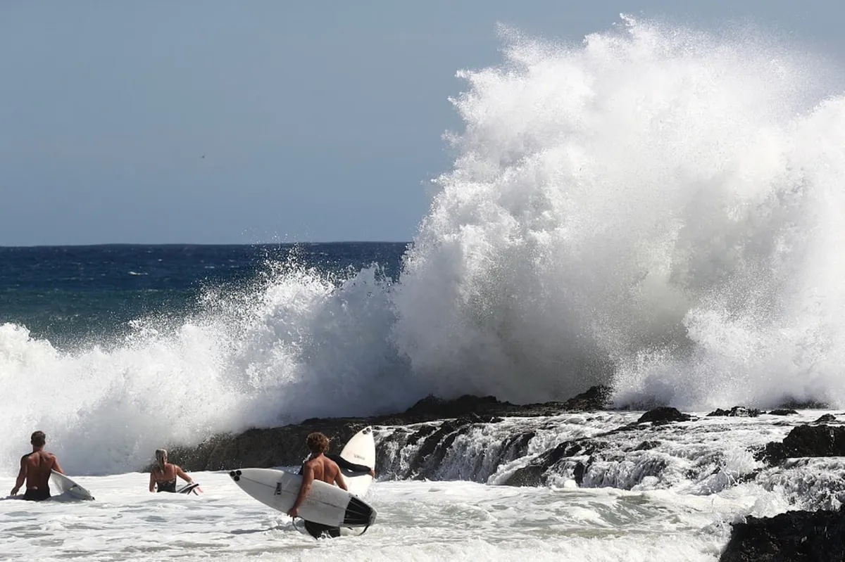 Snake no mistake: Australian fined for surfing with python | ABS-CBN News
