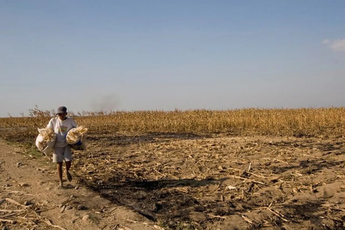 Western section of Luzon to first bear brunt of below normal rainfall ...