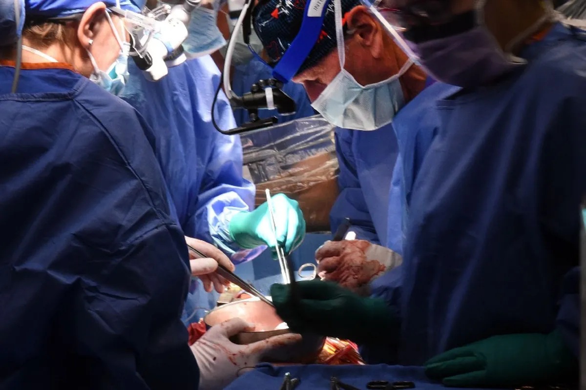 US experts carry out second pig-to-human heart transplant | ABS-CBN