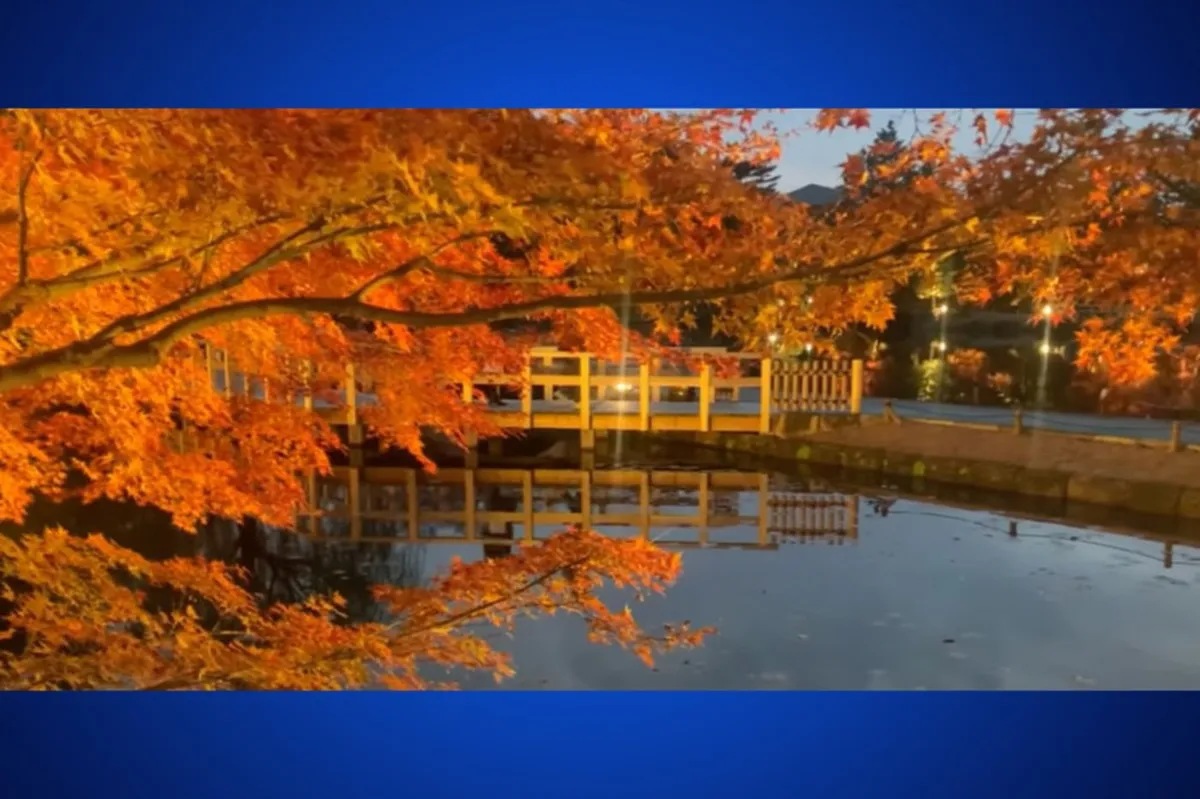 Taglagas sa Japan, kinaaliwan ng mga turistang Pinoy | ABS-CBN