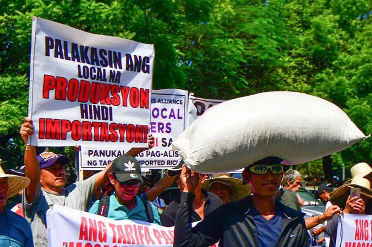 Why are agricultural groups opposing lower rice tariffs? | ABS-CBN