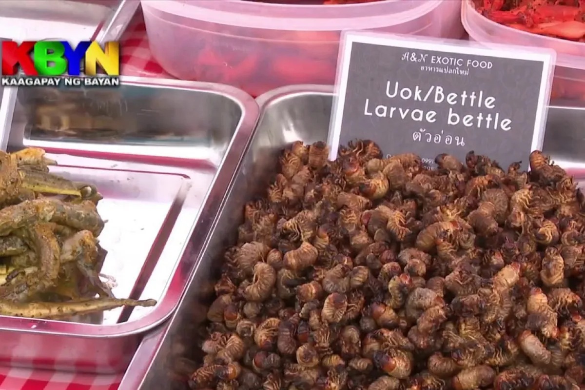 KBYN: Uod, palaka, iba pang exotic food itinitinda sa Bulacan | ABS-CBN ...
