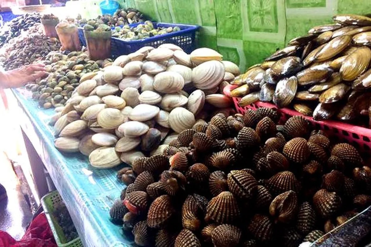 Shellfish from these areas are unsafe to eat due to red tide | ABS-CBN News