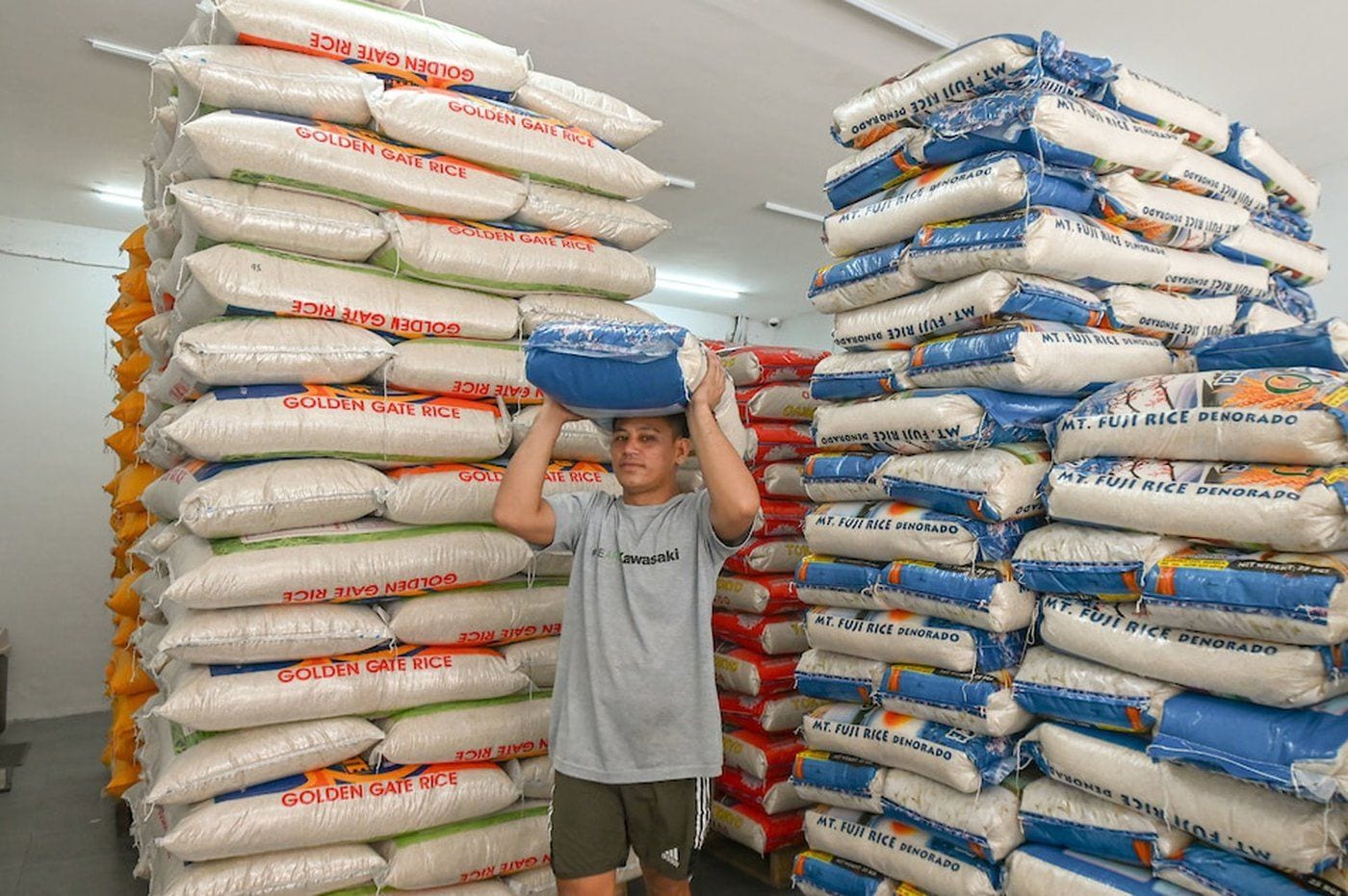 House to launch 'Malaya Rice' subsidy program amid high inflation | ABS ...