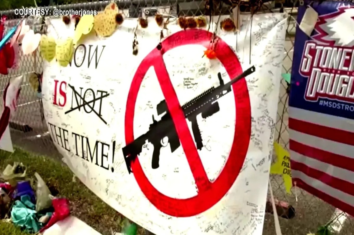 Fil-Am anti-gun violence advocate seeks stronger measures vs. assault ...