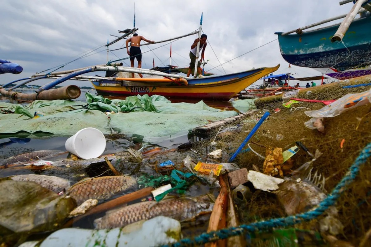 Cleaning up Canacao Bay | ABS-CBN News