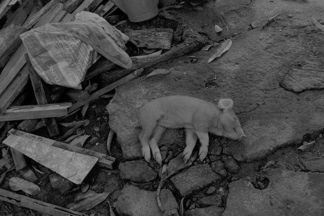 Roxas, Mansalay towns in Oriental Mindoro under state of calamity due ...