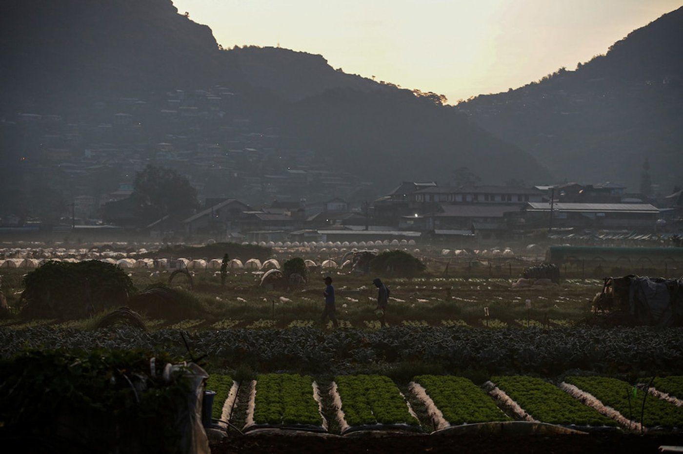 Benguet temperature drops to 11.3C, coldest so far this Amihan season ...