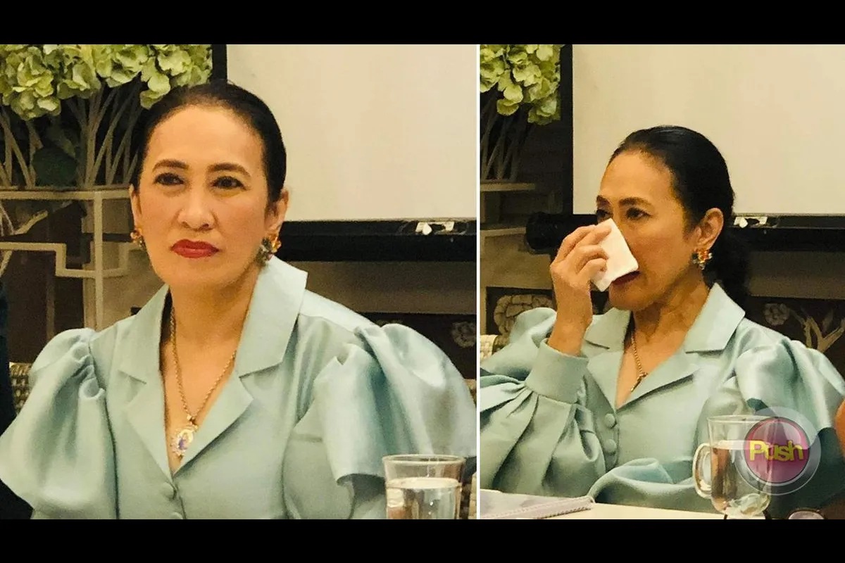Ai-Ai Delas Alas, dalawang beses nang nabigo sa IVF | ABS-CBN Entertainment