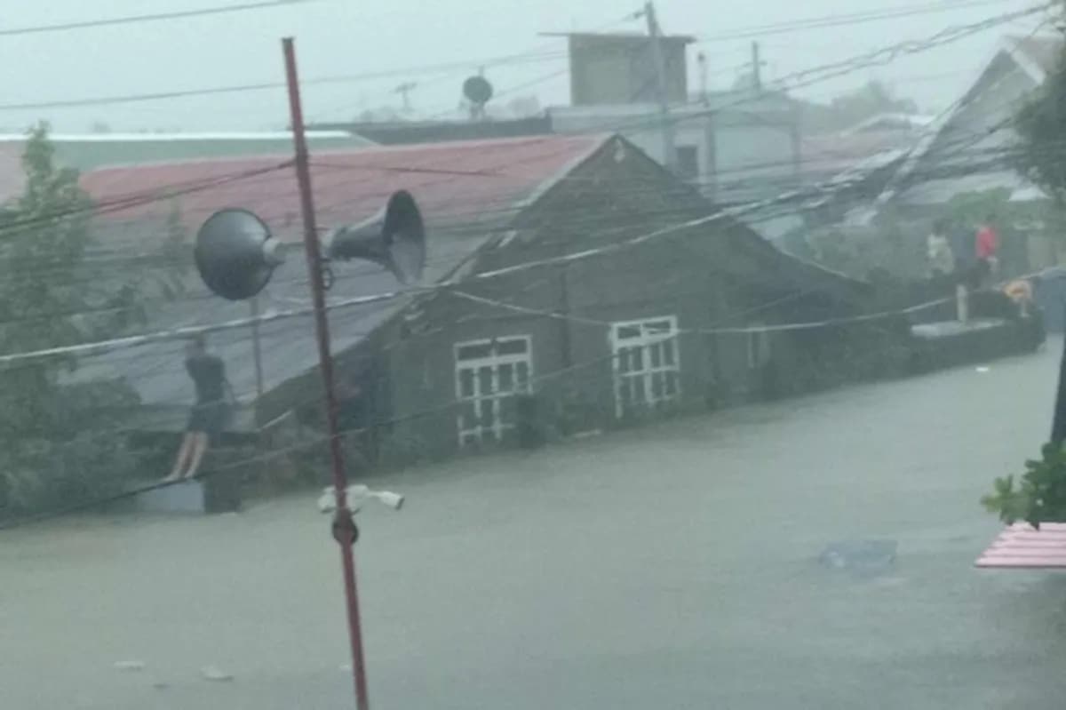 Extreme rainfall increases exponentially with global warming: study ...