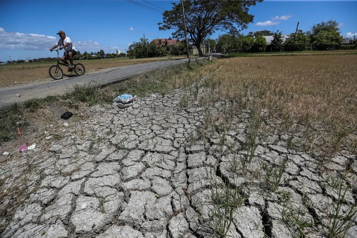 LOOK: Rice fields dry up in San Miguel, Bulacan | ABS-CBN News