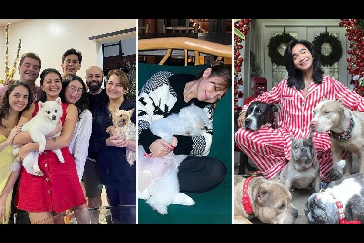 LOOK: Celebrities flex their pets on Christmas Day | ABS-CBN Entertainment