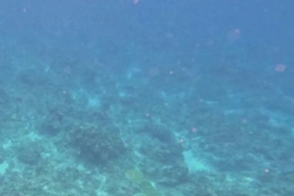 Pagkuha, pagsira ng bahura sa West Philippine Sea, ikinabahala | ABS ...