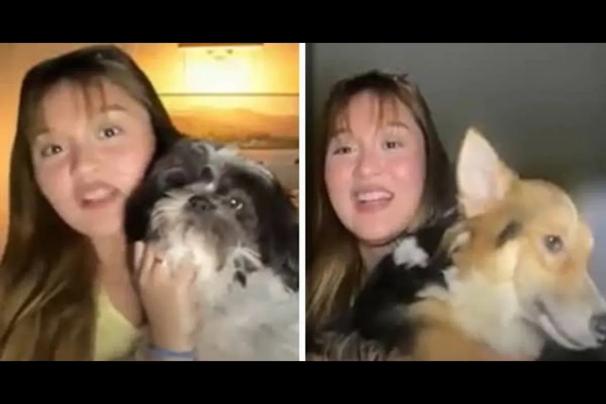 Meet Angela Ken’s pet dogs! | ABS-CBN Entertainment