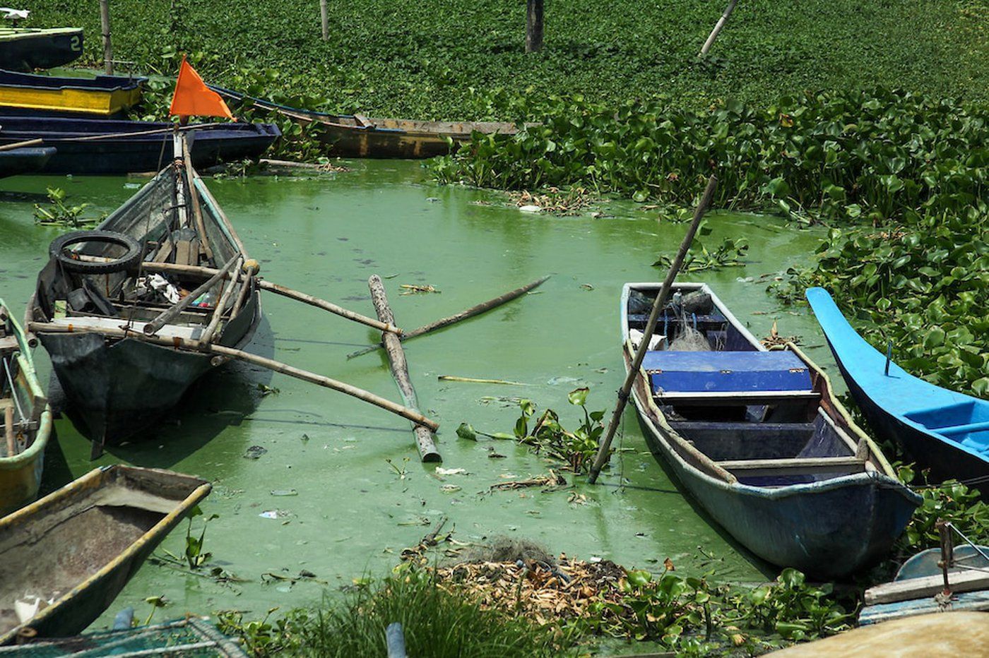 Laguna Lake ‘contaminated with microplastics’: study | ABS-CBN