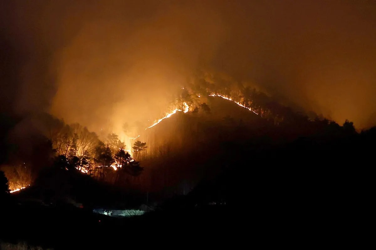 New study quantifies link between climate crisis, wildfires | ABS-CBN