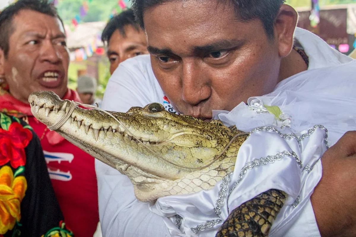 Mexico village mayor 'weds' reptile for prosperity in Lizard Wedding ...