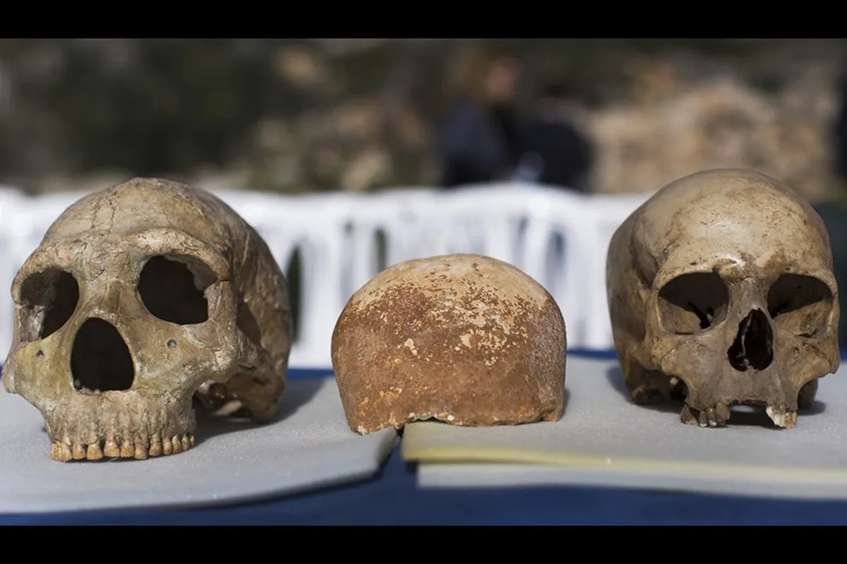 Fossil discovery adds to evidence humans reached Southeast Asia over ...